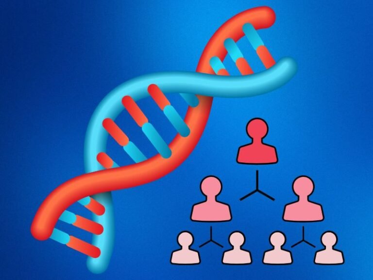 Exploring the Causes of Celiac Disease - celiacmagazine.com