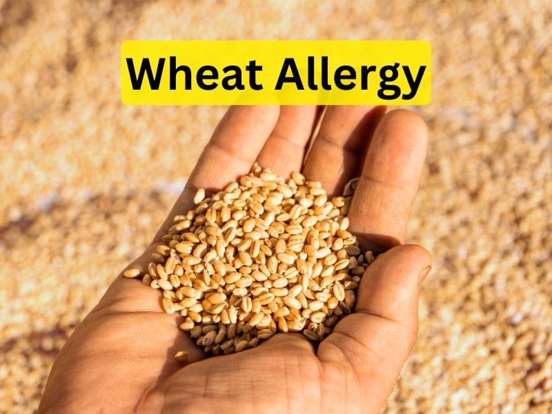 Diseases Similar to Celiac Disease: Causes, Symptoms, and Diagnosis ...